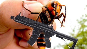 Dropping Murder Hornets? | Umarex USA